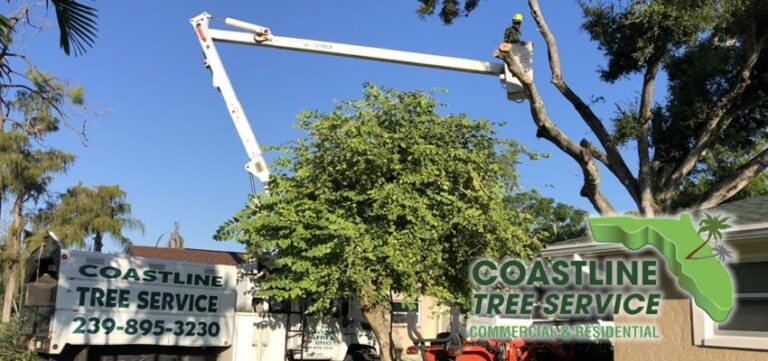 Top 10 Benefits of Regularly Trimming Your Trees For Your SWFL HOA ...