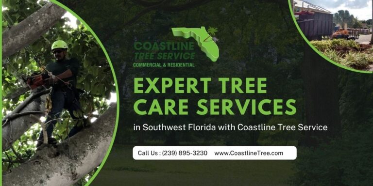 Expert Tree Care Services in Southwest Florida With Our FNGLA Certified ...